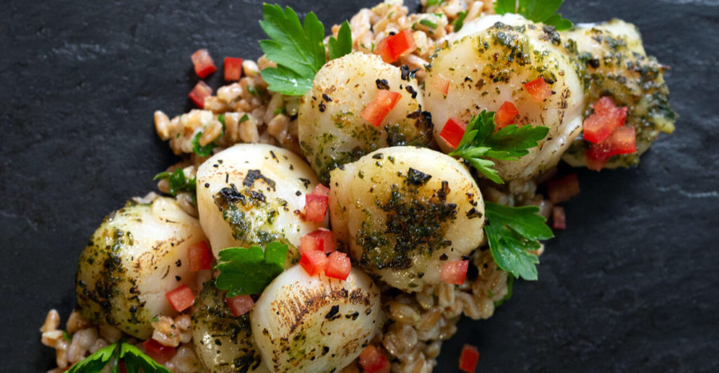 Farro Salad Lemon Pesto Scallops - Bristol Seafood